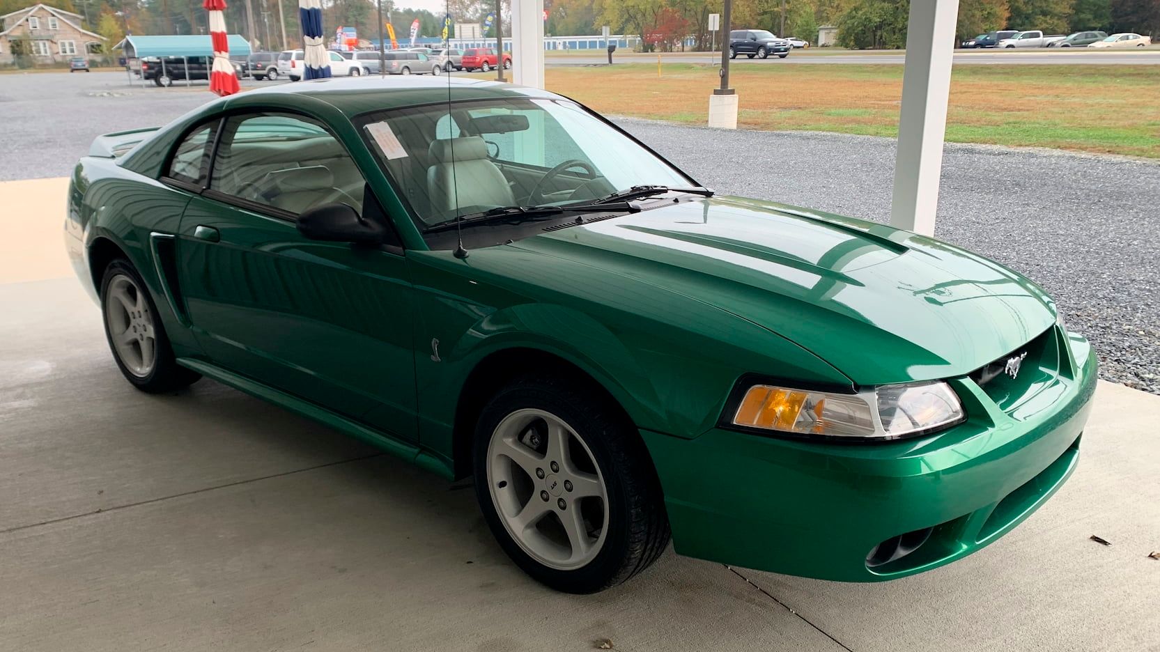 10 Amazing Things About The Ford SVT Mustang Cobra