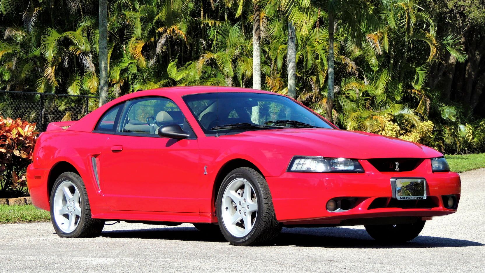 10 Amazing Things About The Ford SVT Mustang Cobra