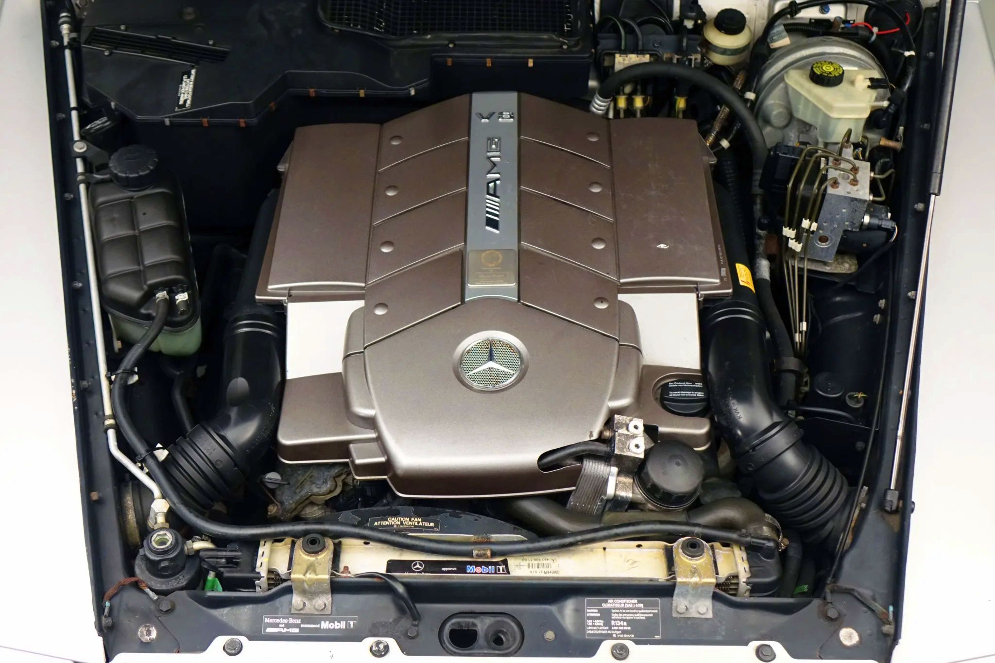 Is A Used Mercedes-AMG G55 Your Ticket To Stardom?