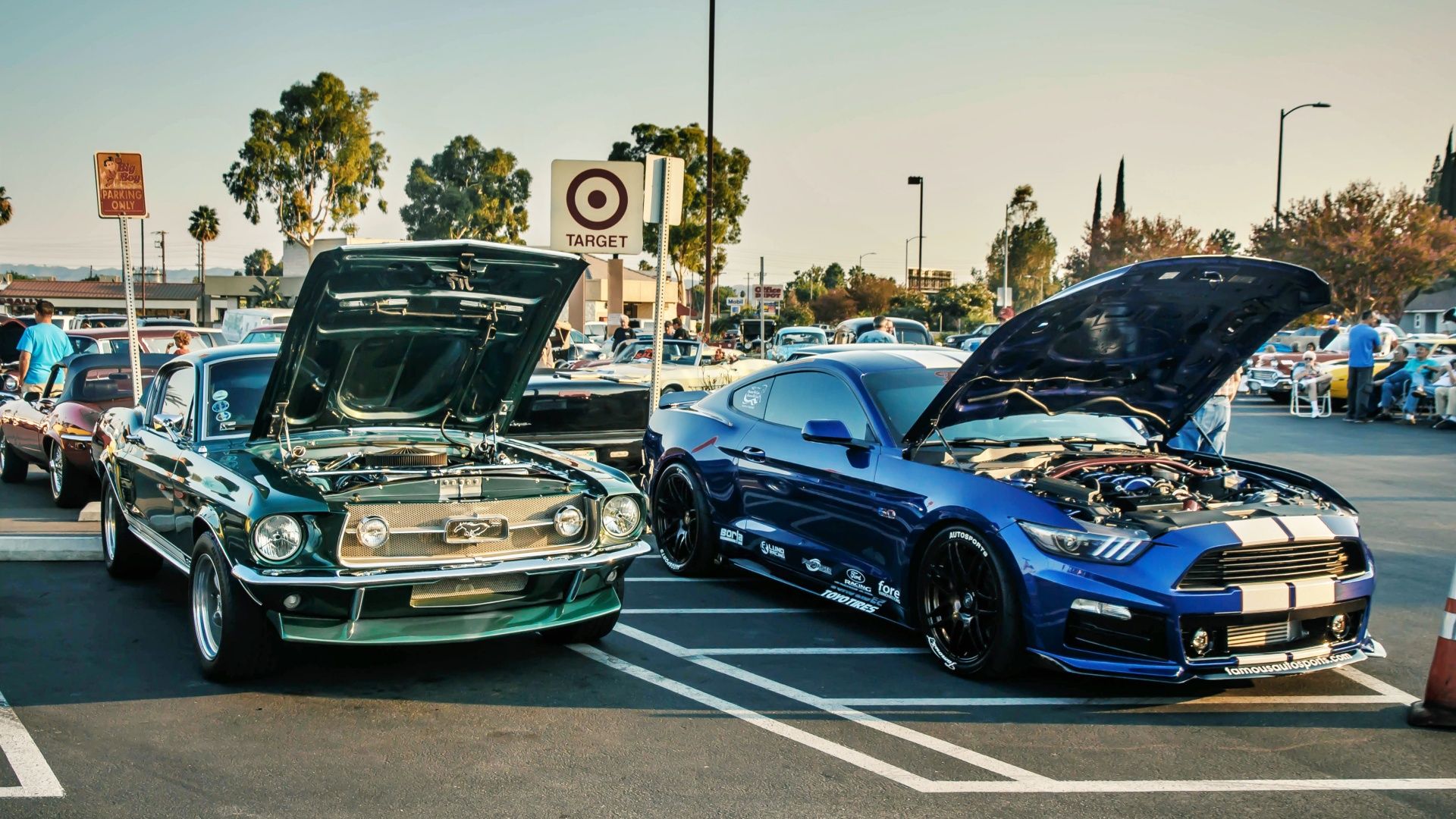 10 Solid Reasons Why Enthusiasts Want To Hang On To Their Beloved Gas ...