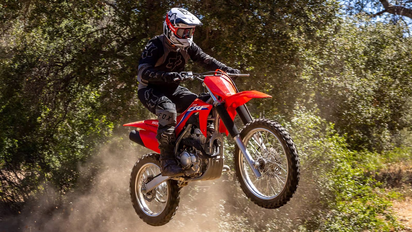 10 Best Trail Bikes For Beginners