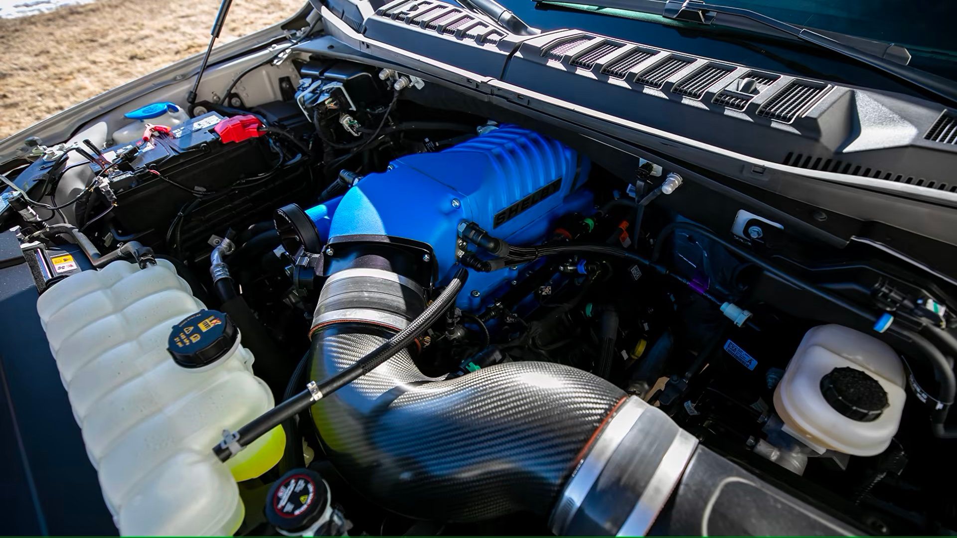 15 Things You Should Know About The Shelby F-150 Super Snake