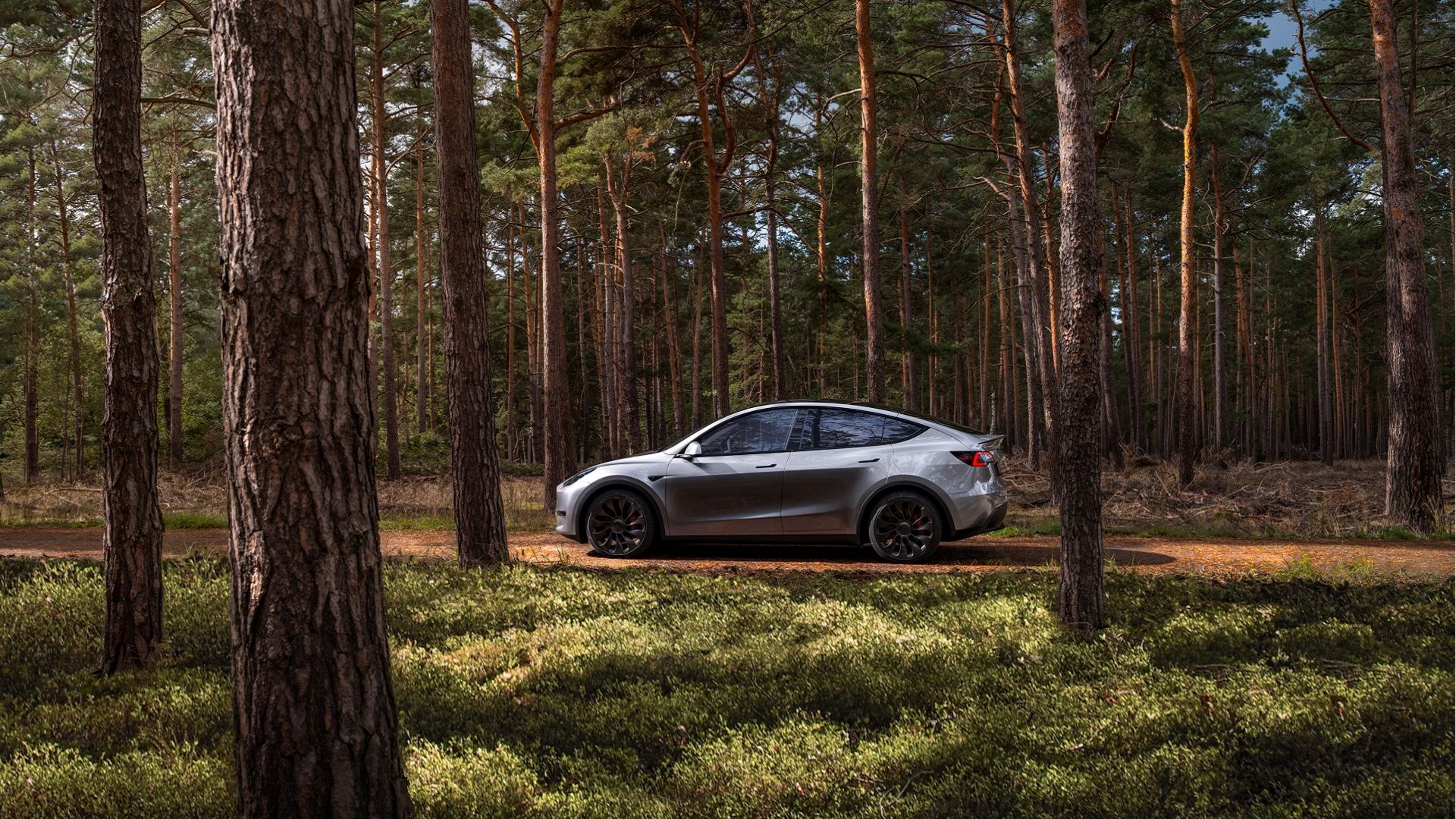 What Makes The Tesla Model Y The Best-selling EV
