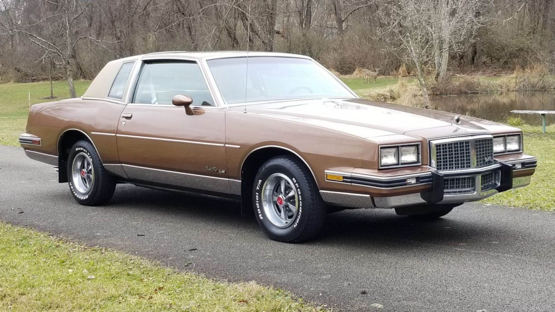Top 80s Muscle Cars That Still Turn Heads Today