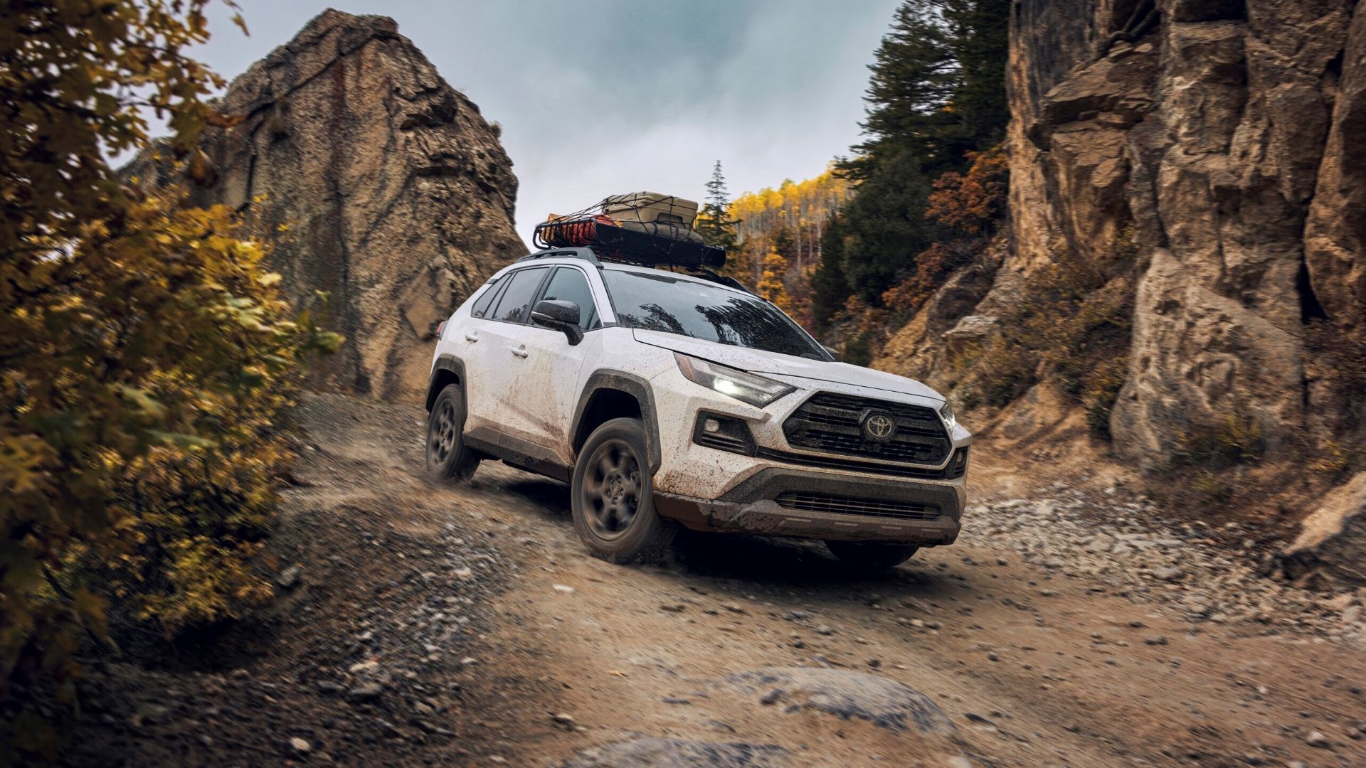 2024 Toyota SUV Lineup: Models, Pricing, Features, And Performance