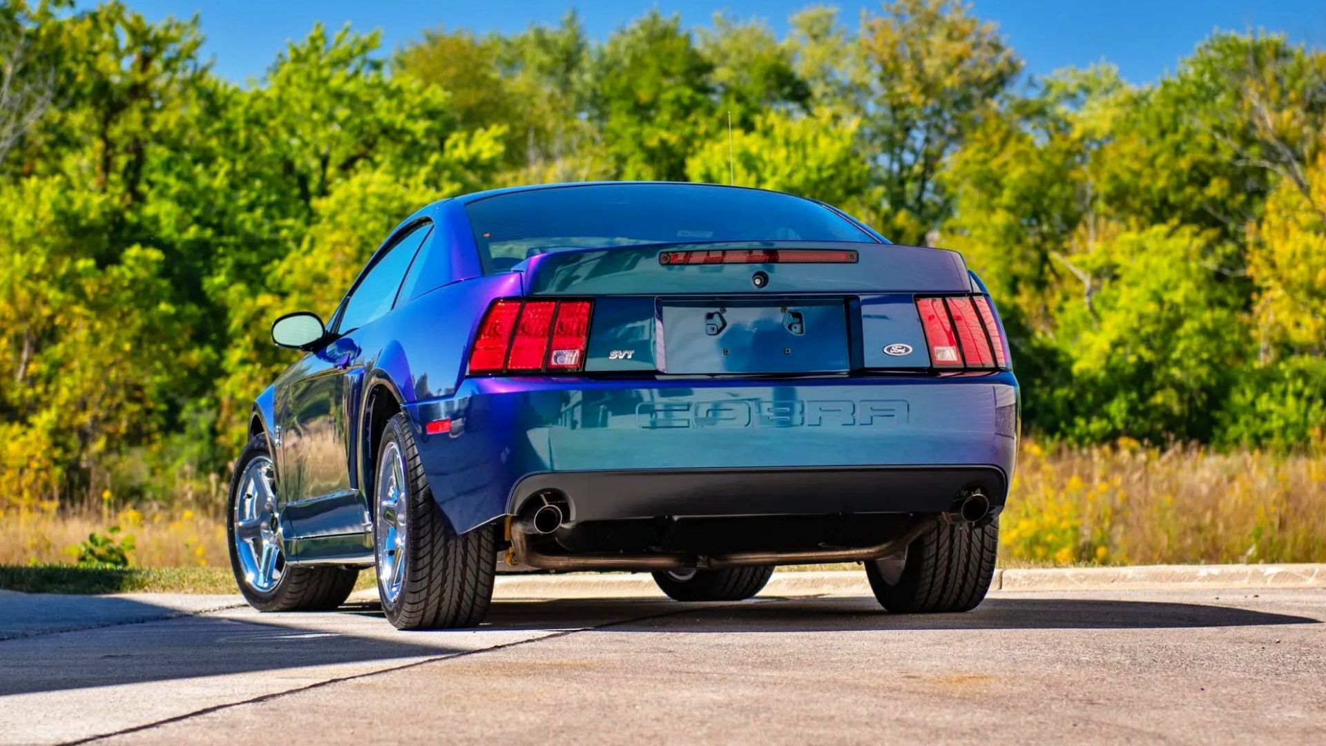 How The Ford Mustang SVT Cobra "Terminator" Iced An Entire Generation ...