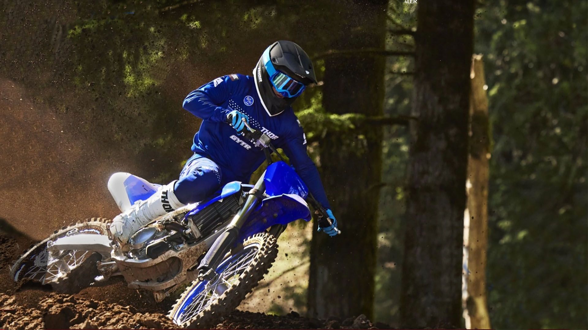 10 Perfect Dirt Bikes For Thrill Seekers