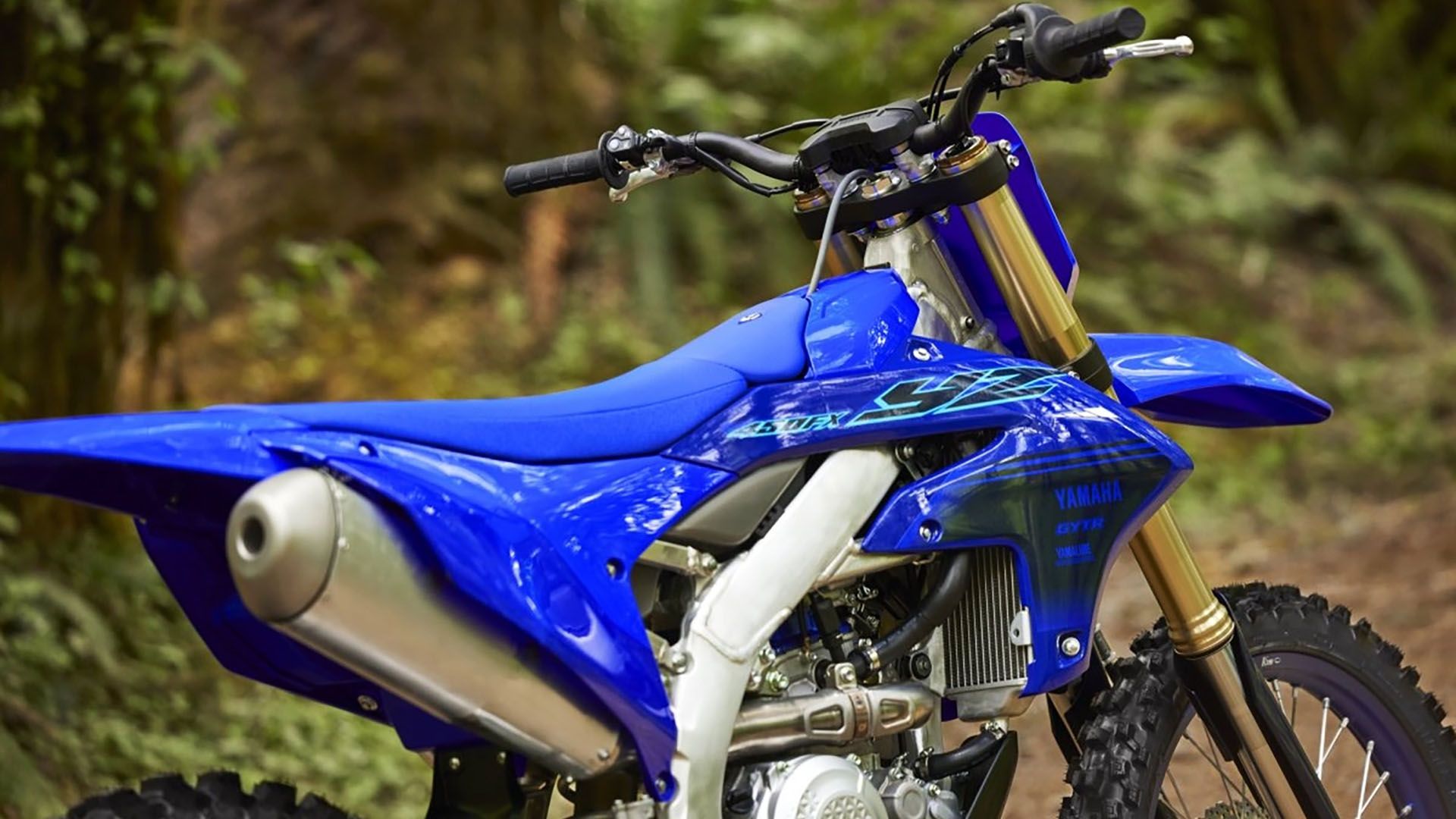 10 Perfect Dirt Bikes For Thrill Seekers