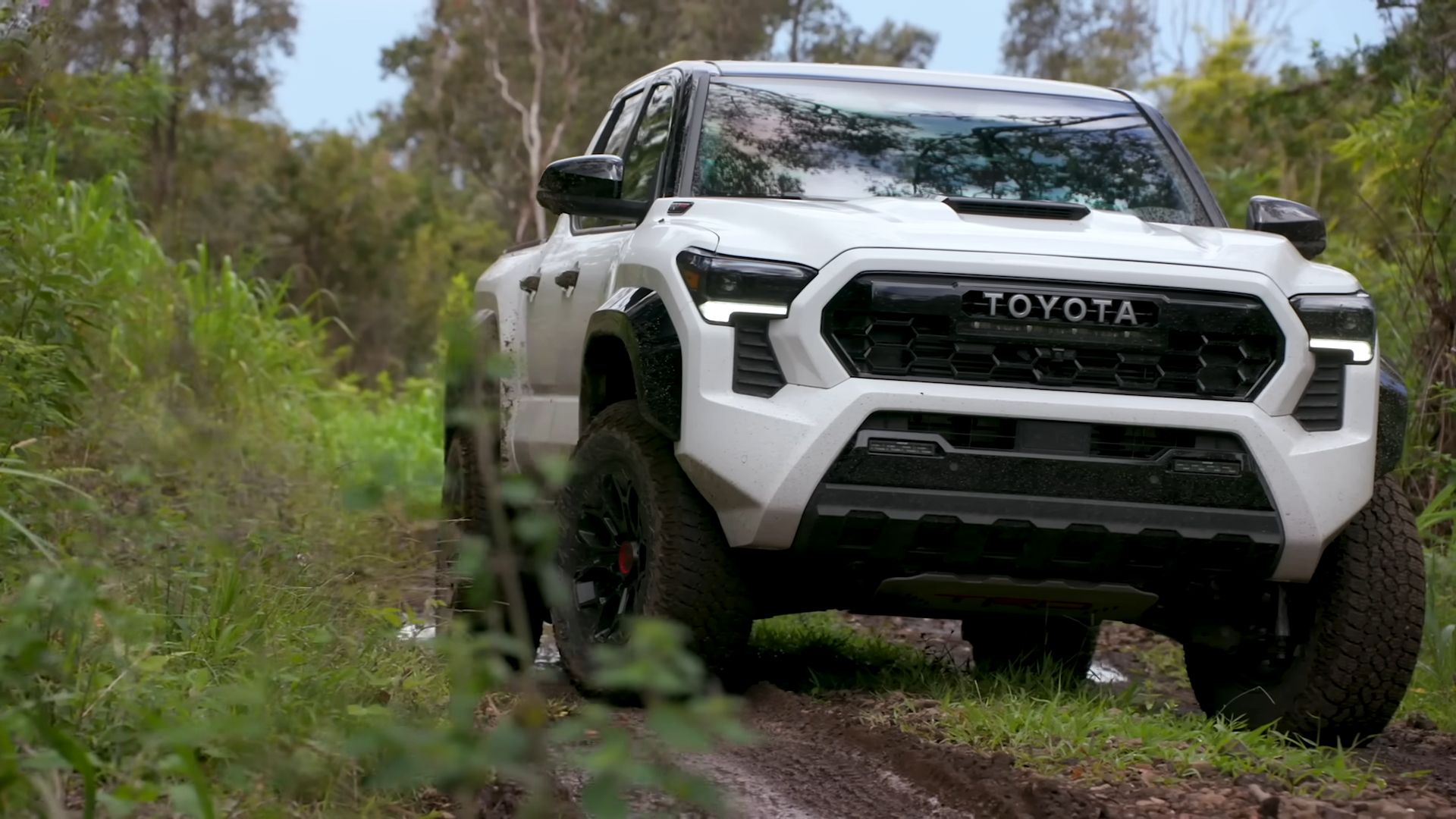 Toyota Engineer Shares What Makes The Four-Cylinder Tacoma Engine So ...