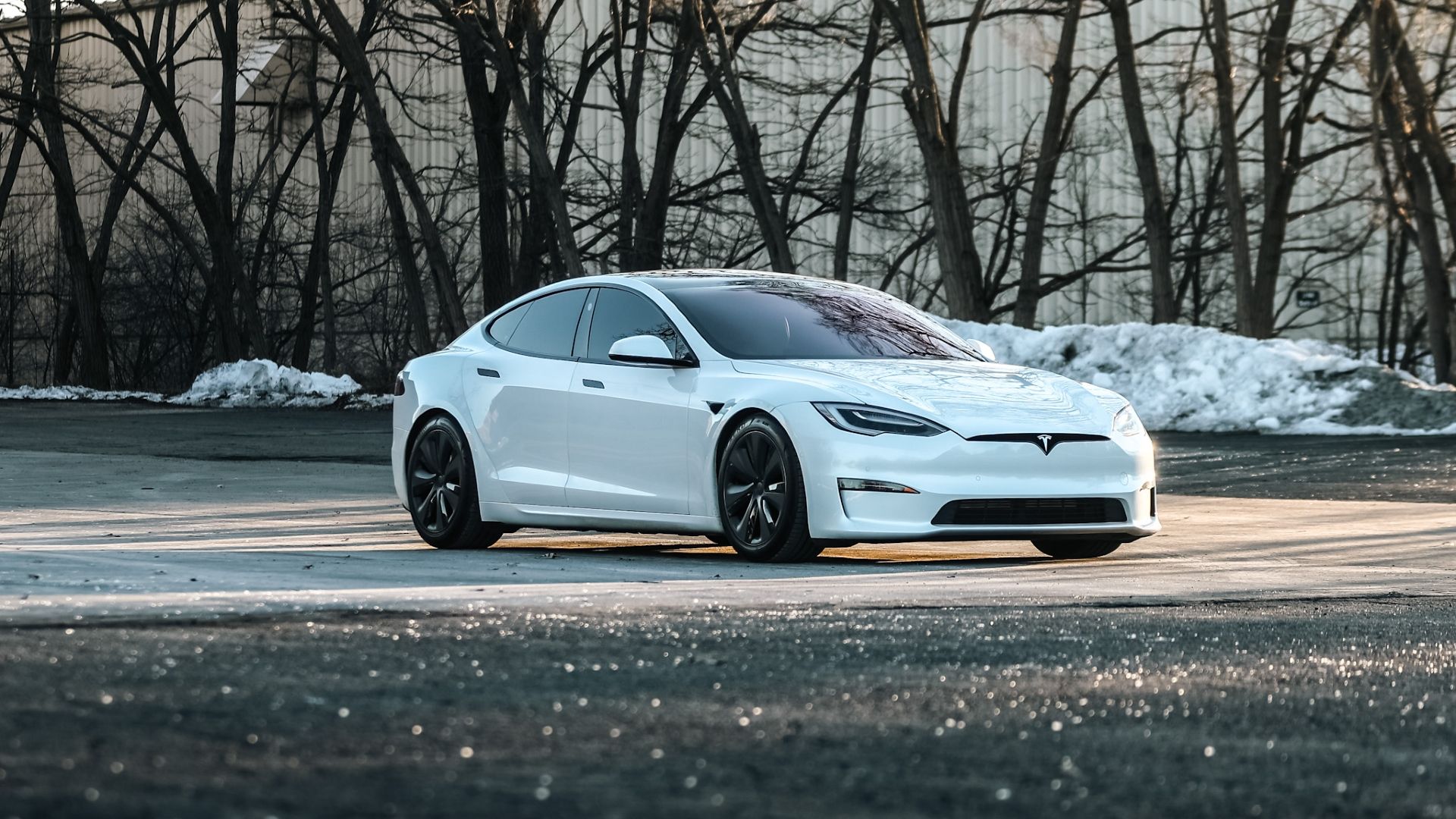 White tesla model s price store
