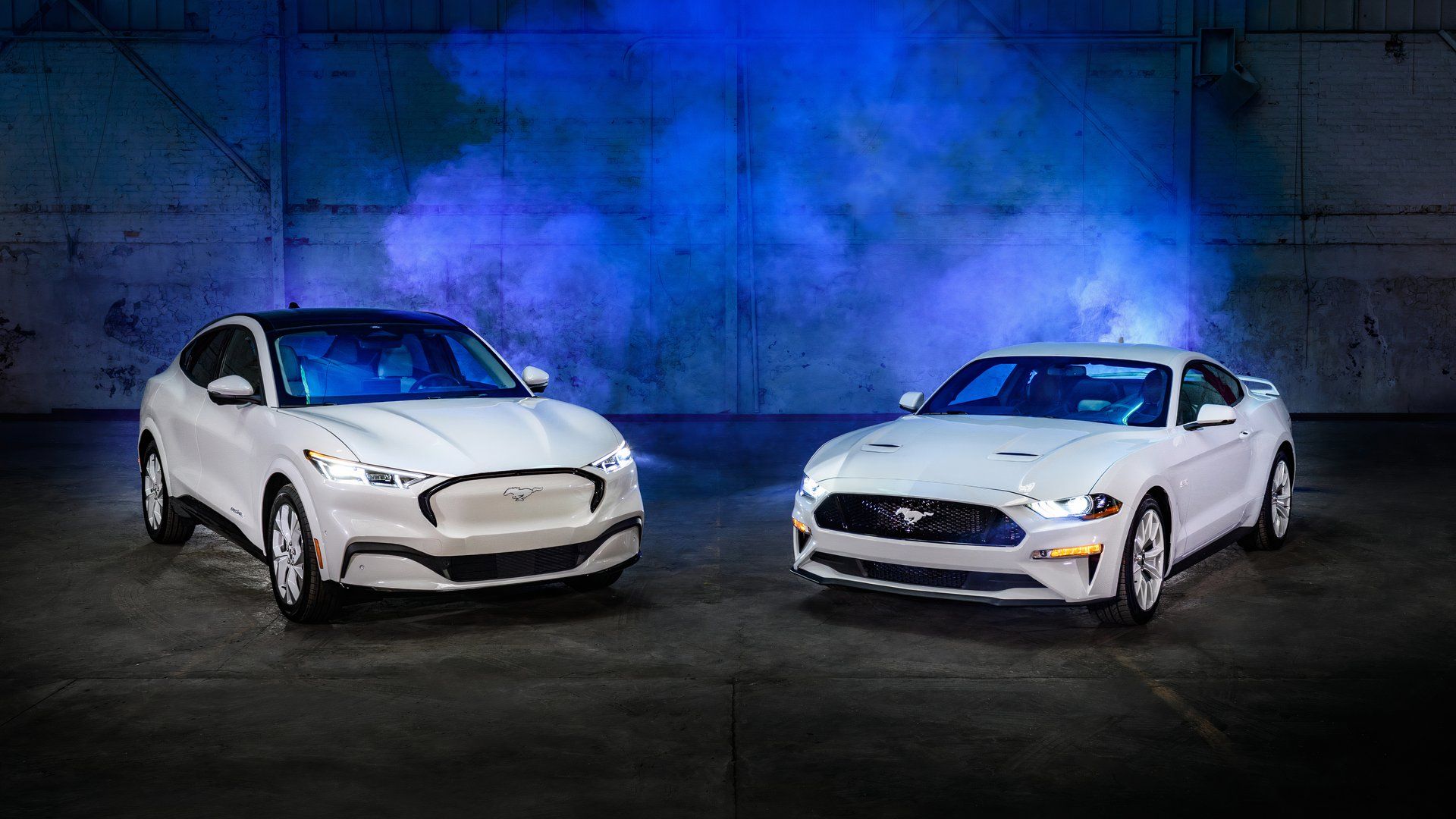 A Four-Door Ford Mustang Sedan and Separate Off-Road Version Are ...
