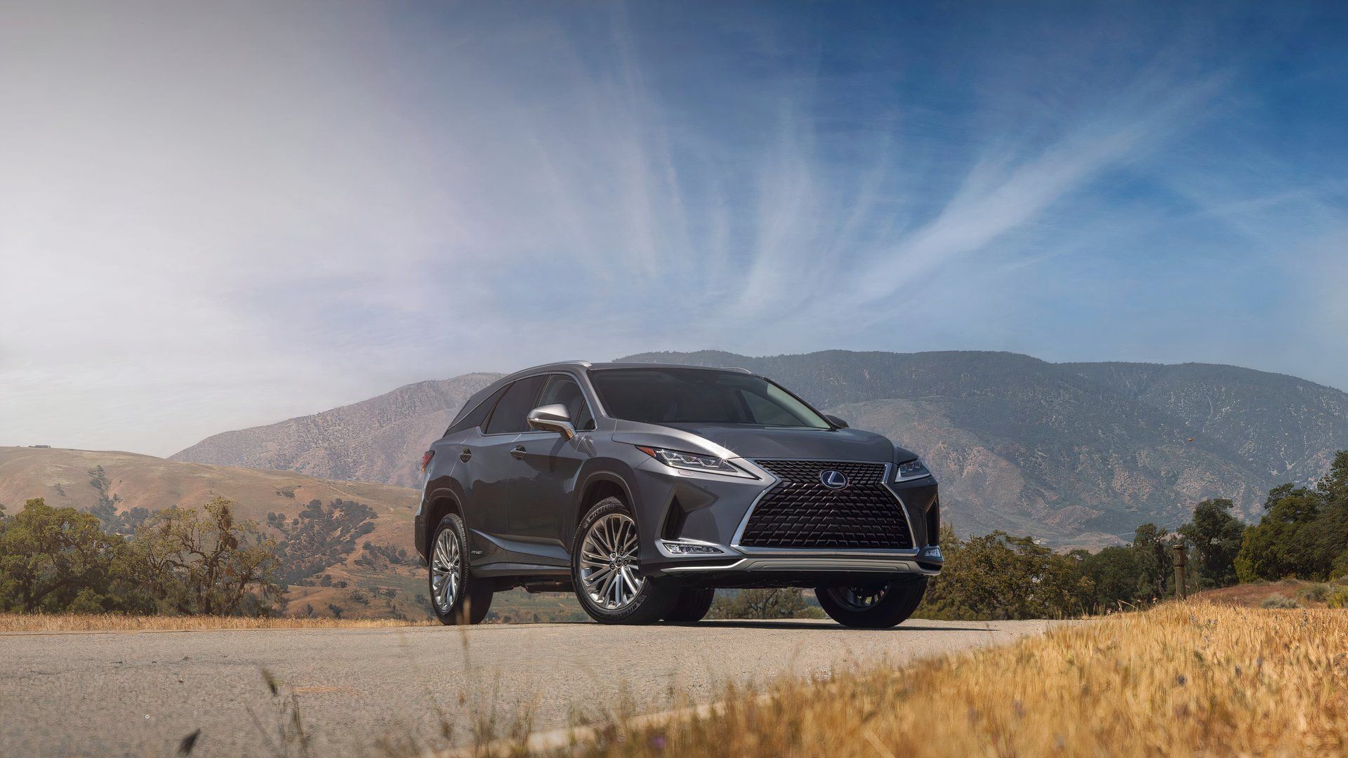 10 Three-Year-Old Hybrids That Are Worth Buying