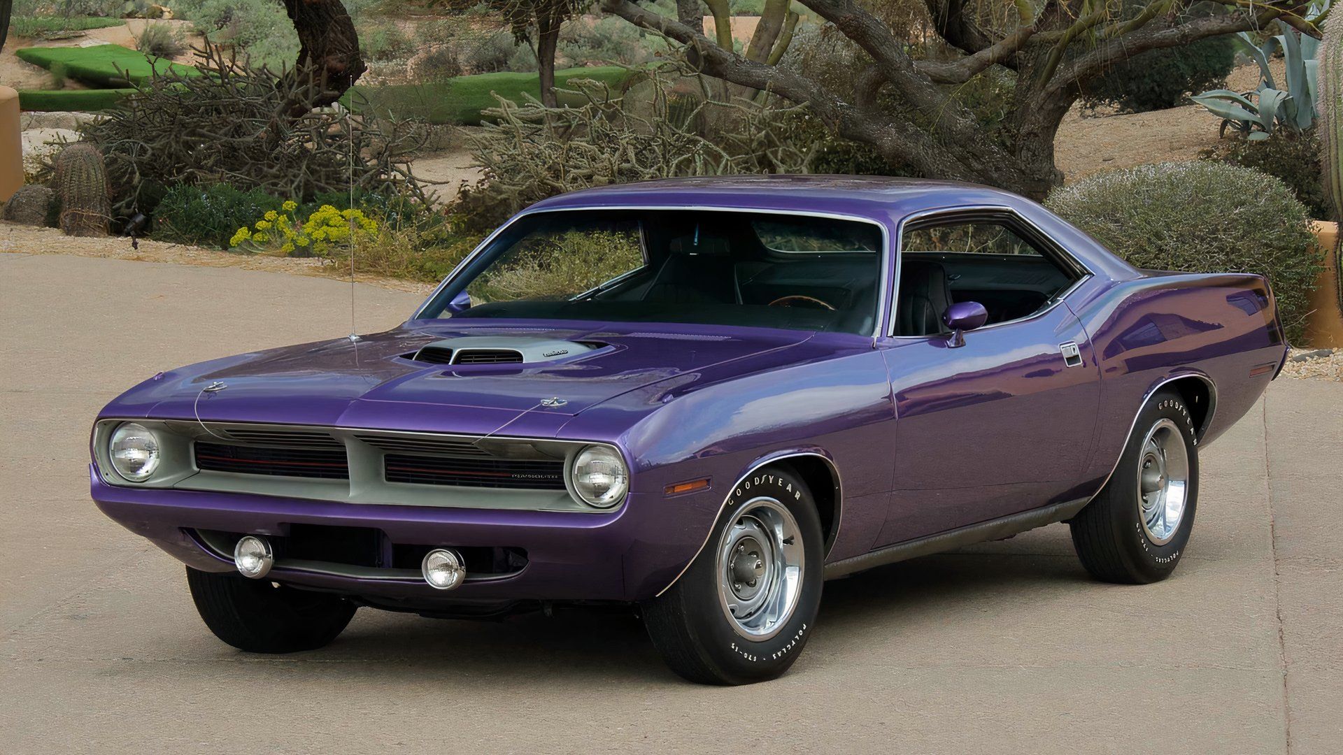 Purple Muscle Cars