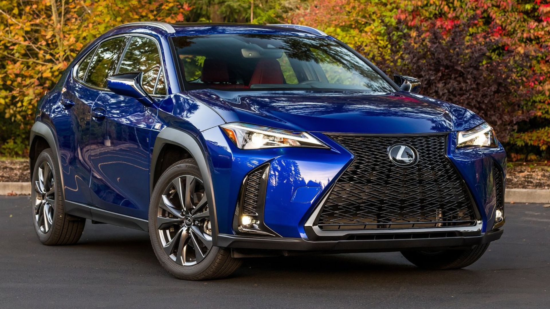 10 Lexus Models You Should Buy Used