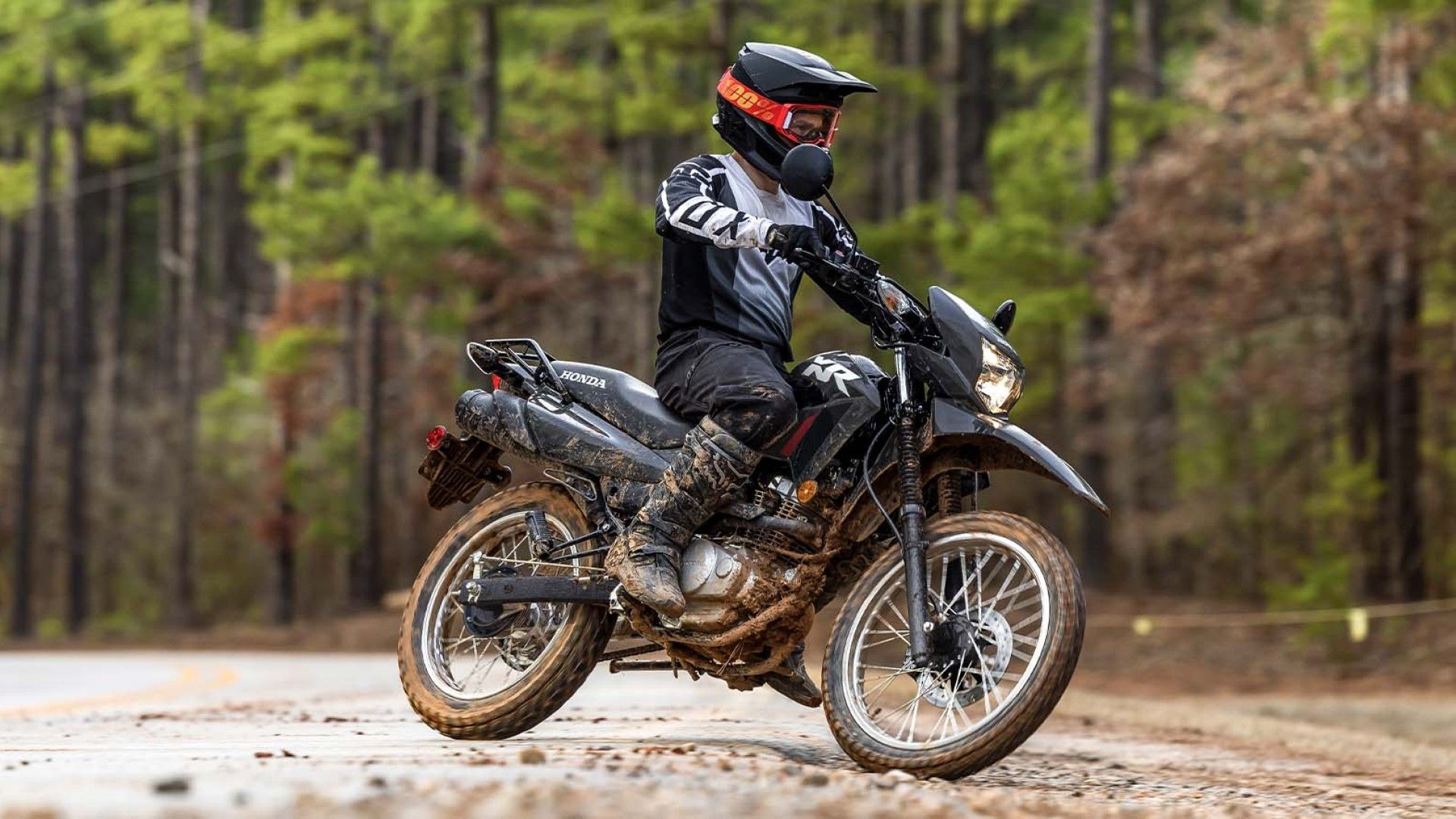 10 Perfect Lightweight Motorcycles For New Riders In 2025