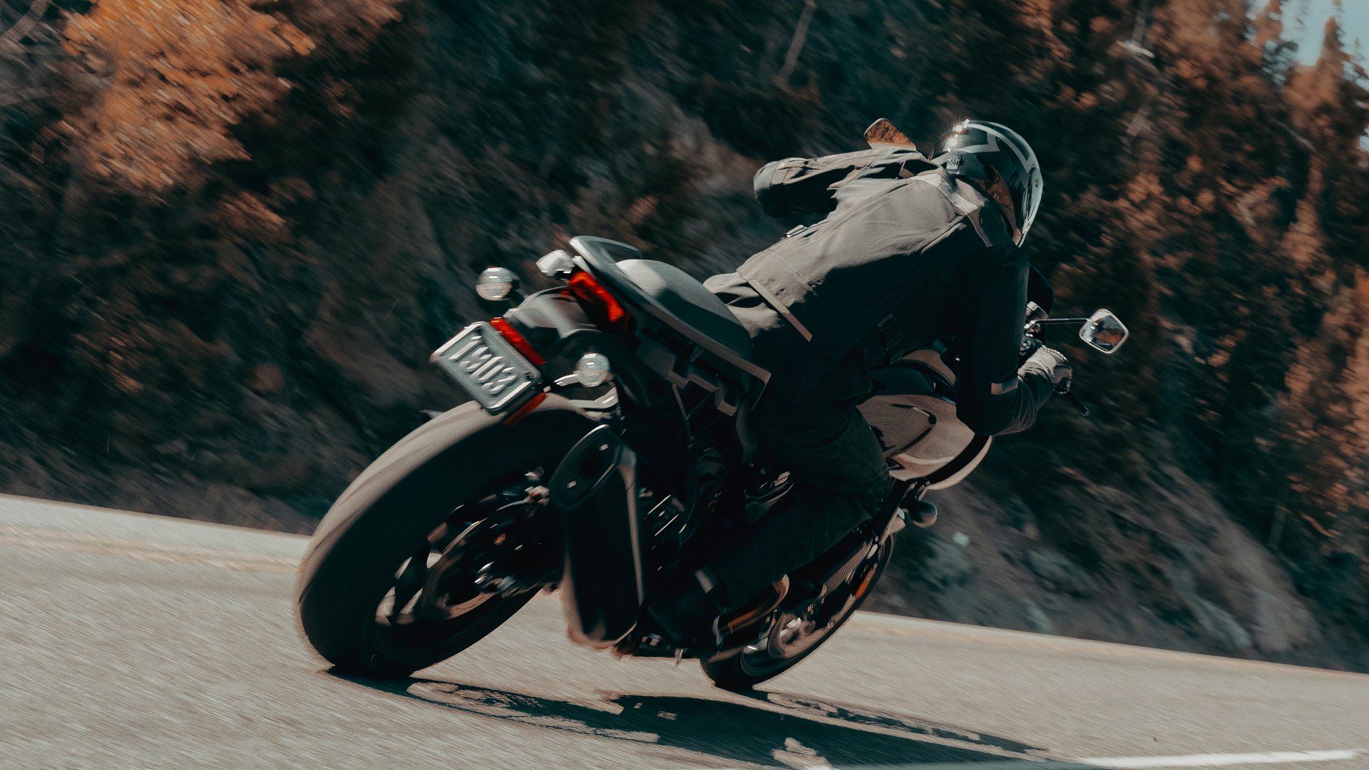 Why This Harley-Davidson Is The Perfect All-Rounder For Any Rider