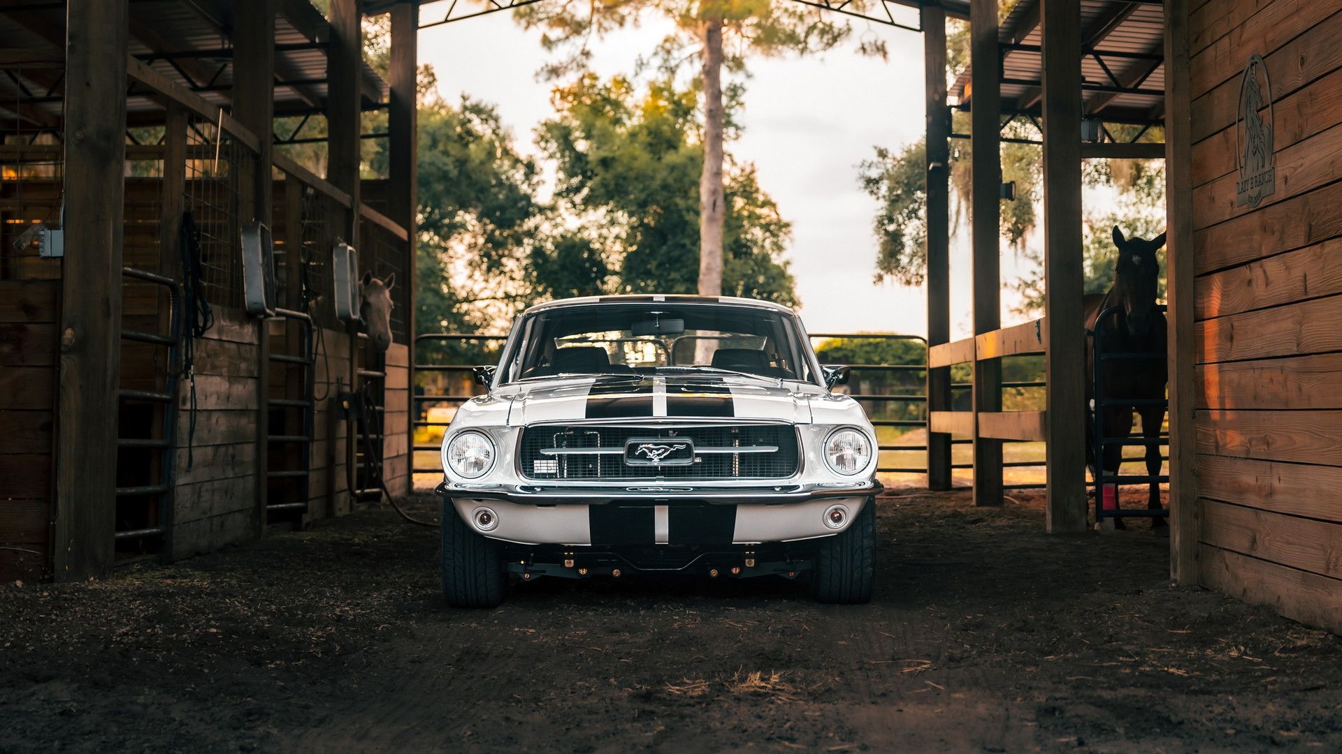 Ford Roush GN34 Was An Ambitious Project For a GT40 Successor That ...