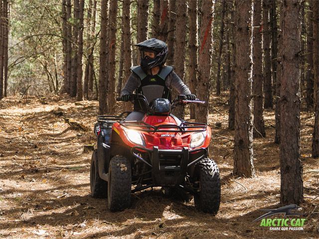 2014 Arctic Cat 300