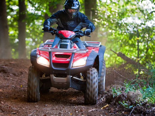 2015 Honda FourTrax Rincon
