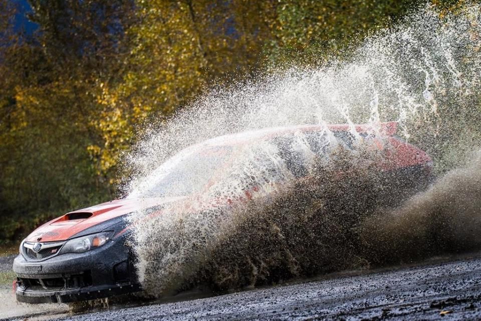 Dirt Fish Rally School