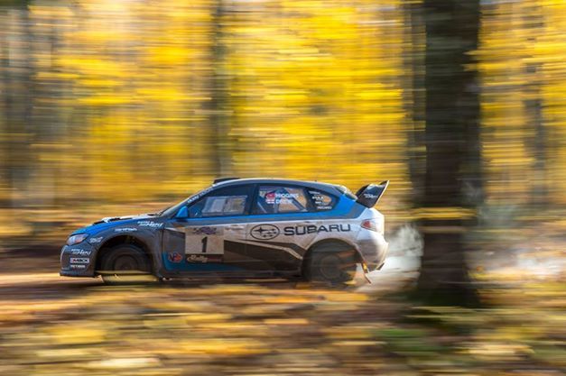 Dirt Fish Rally School