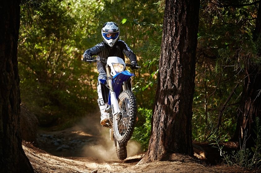 2015 Yamaha WR450F