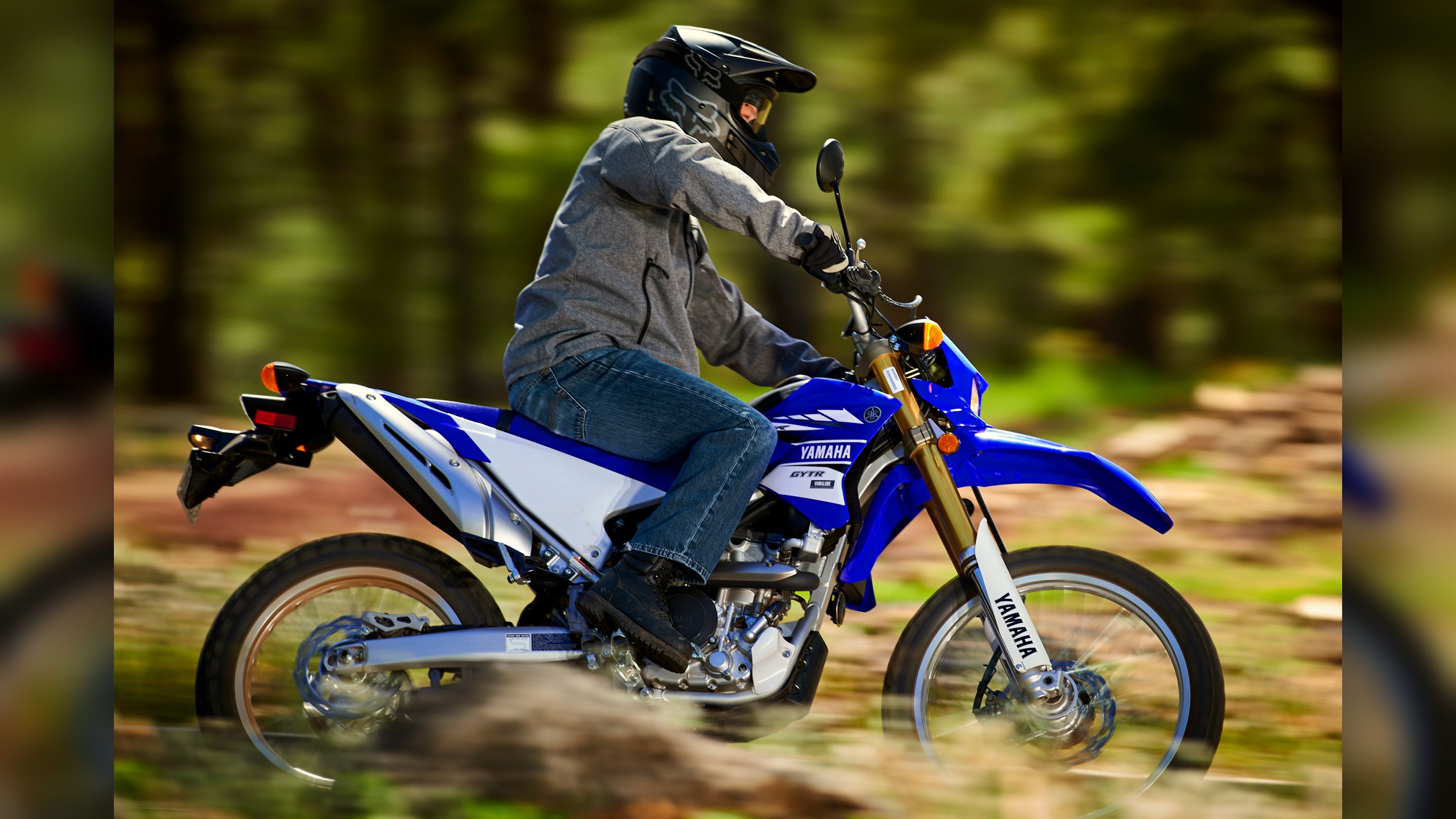 2015 - 2020 Yamaha WR250R