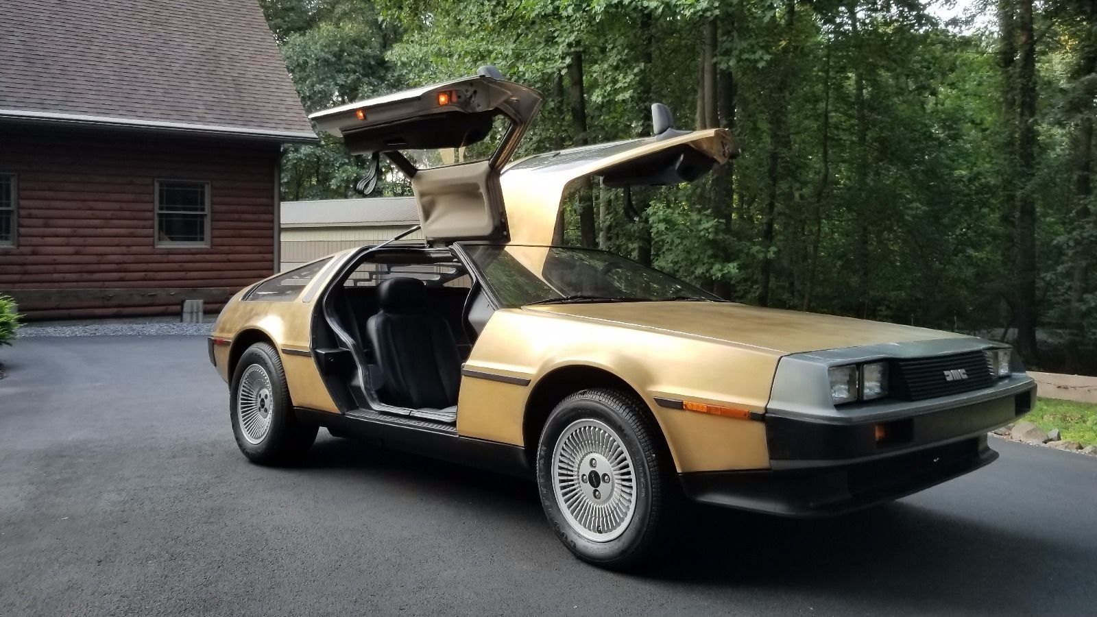 Nobody on eBay Wanted this 1983 DeLorean Plated in 24k Gold