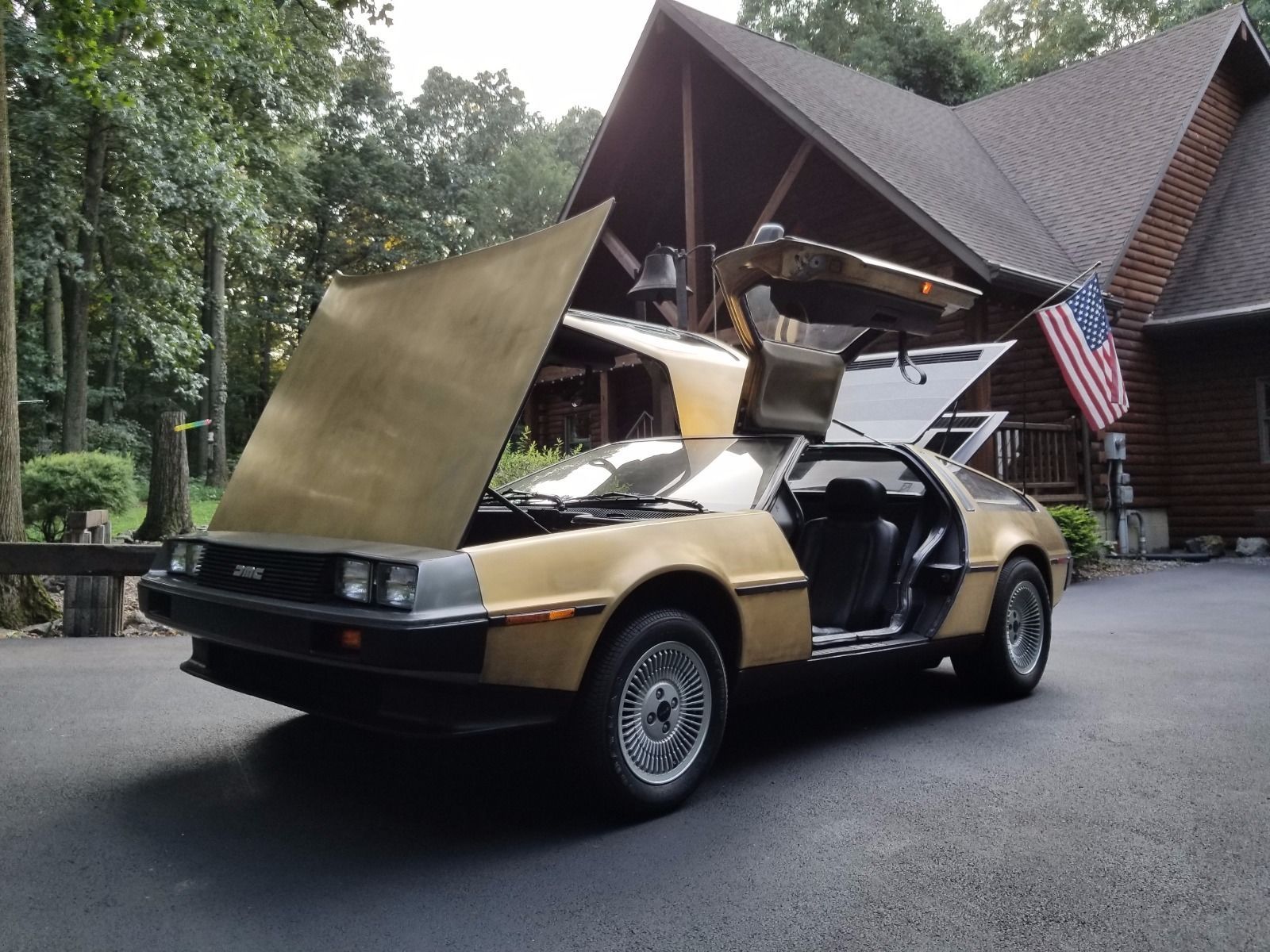 Nobody on eBay Wanted this 1983 DeLorean Plated in 24k Gold
