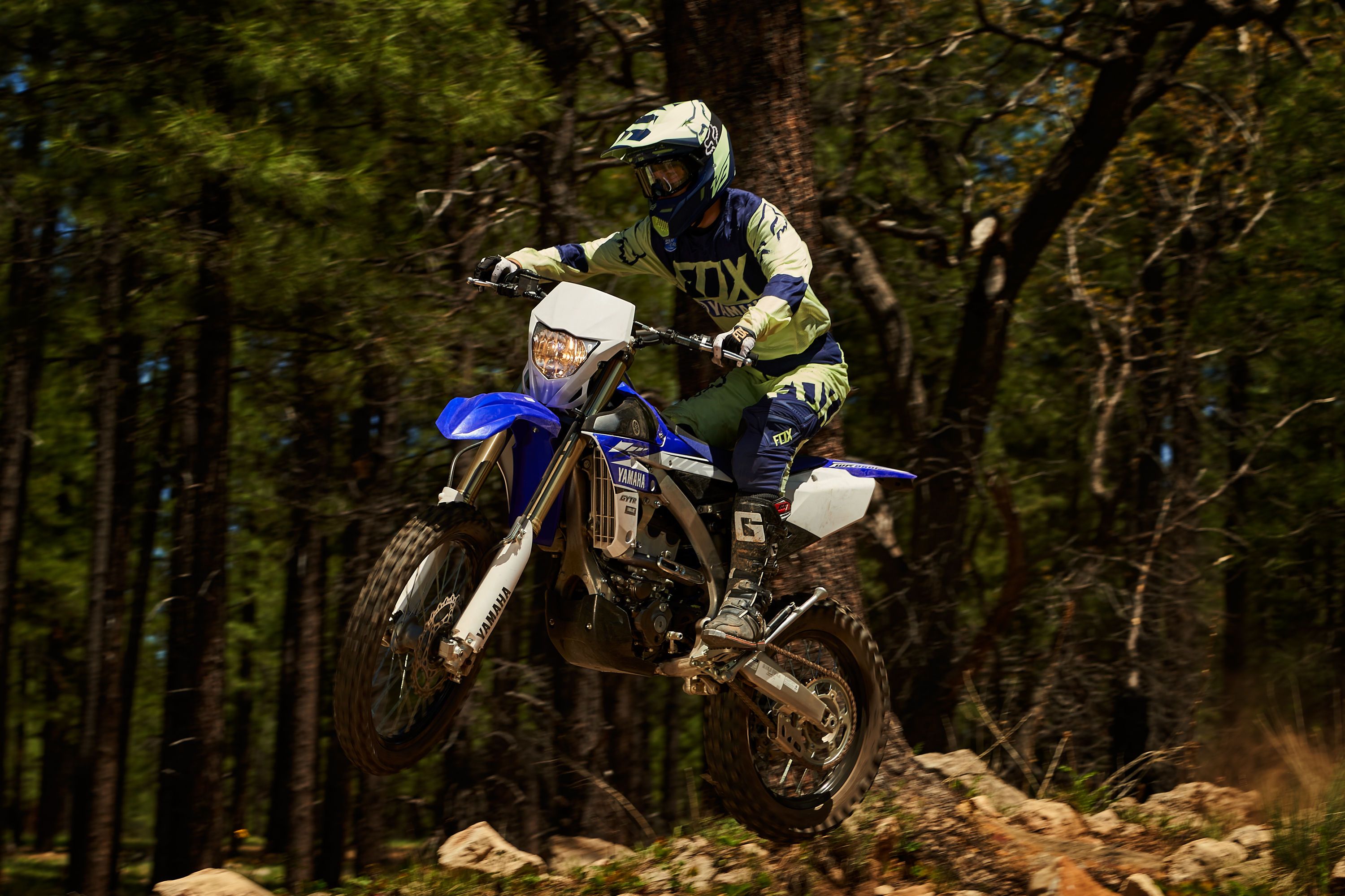 2015 - 2017 Yamaha WR250F
