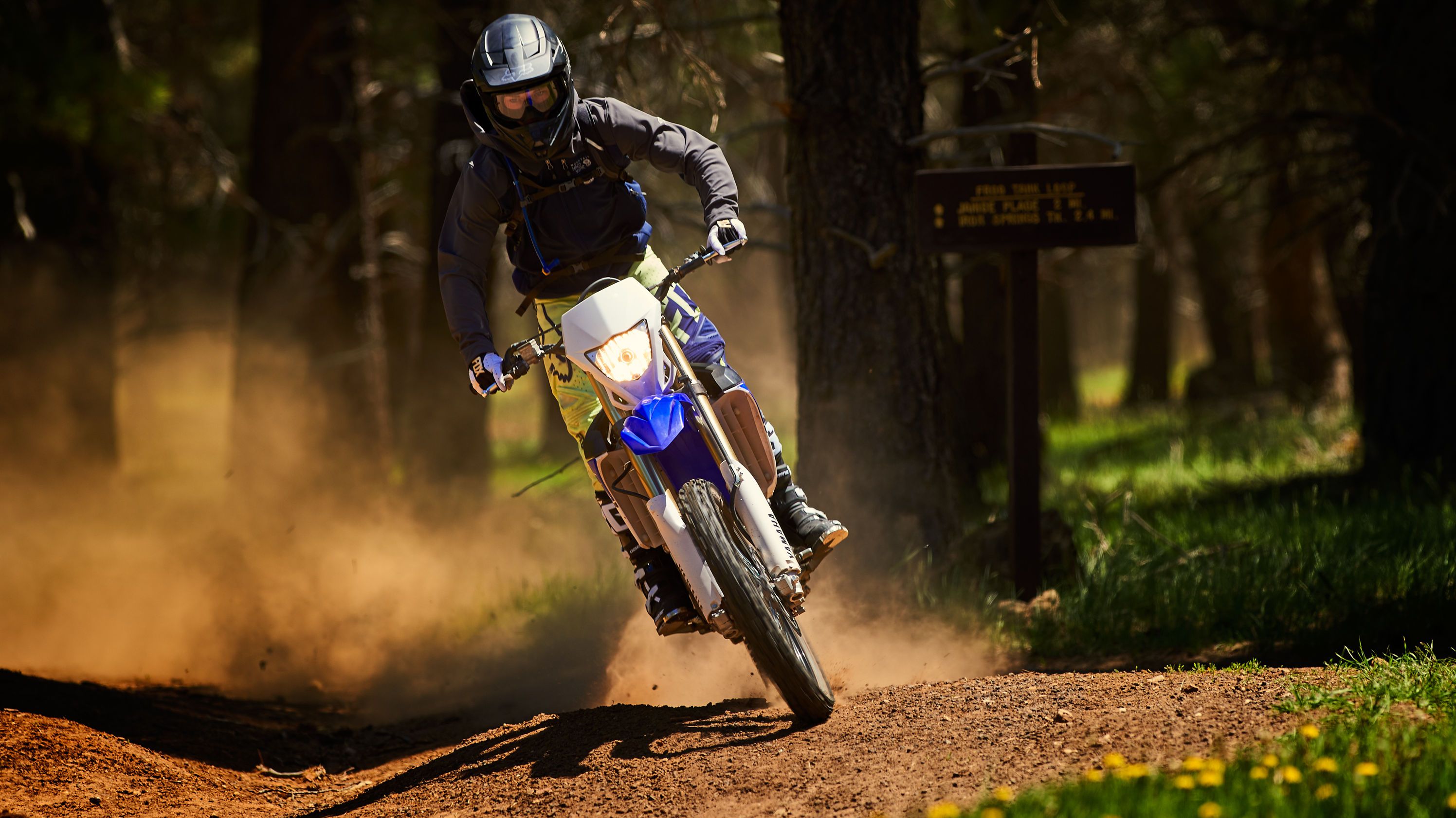 2015 - 2017 Yamaha WR250F