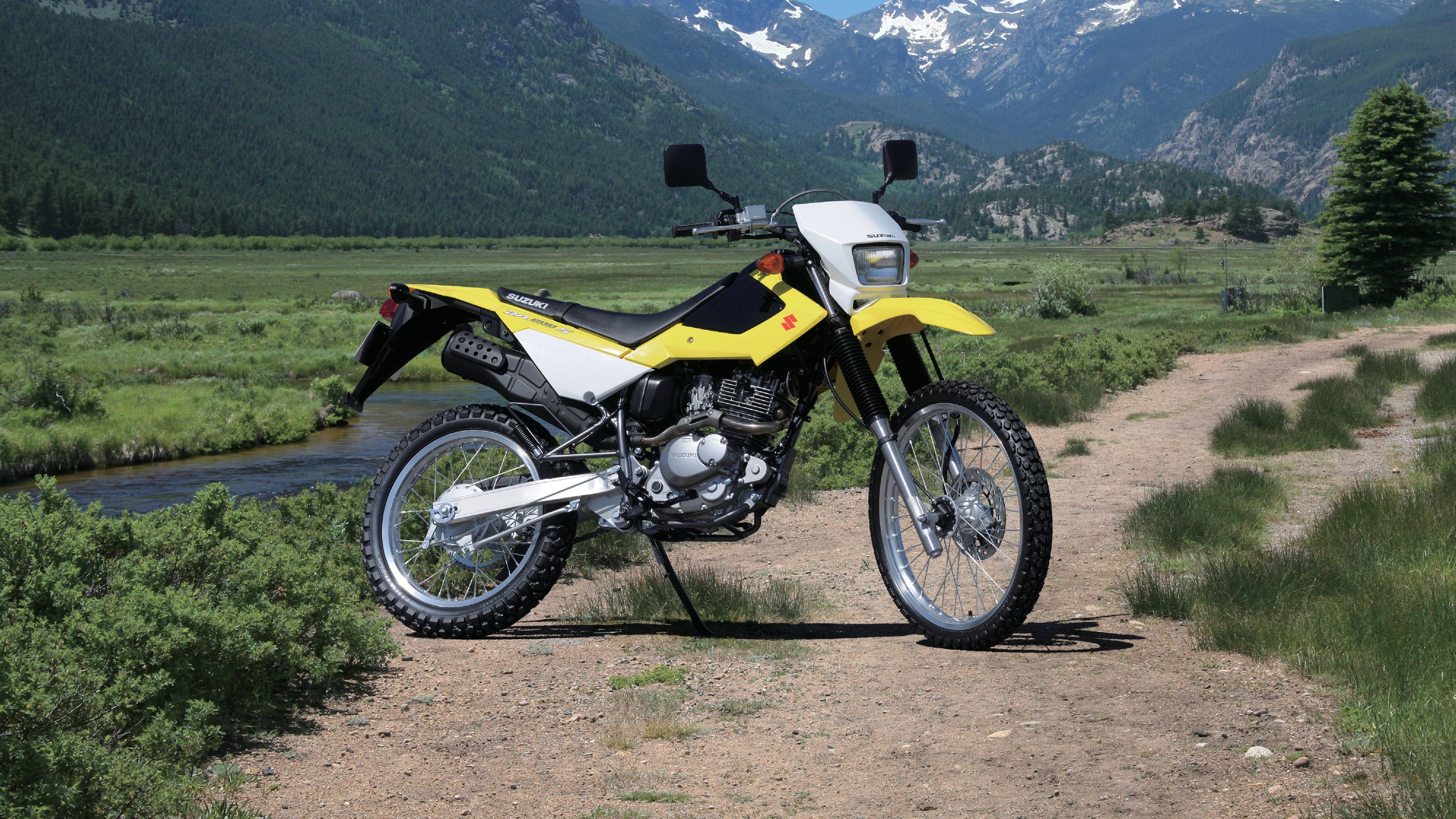 2015 - 2020 Suzuki DR200S