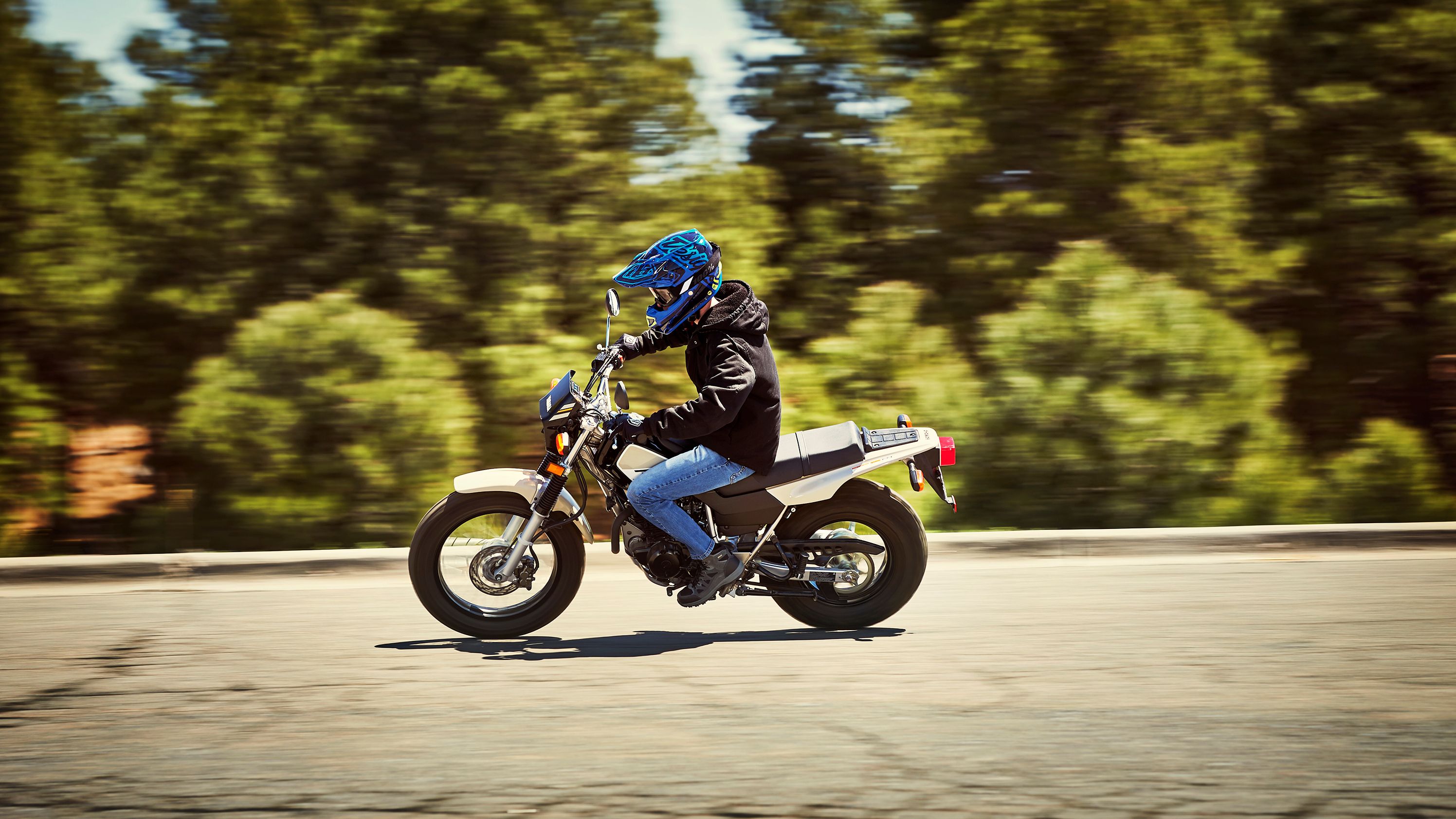 2016 - 2022 Yamaha TW200 - Performance, Price, and Photos