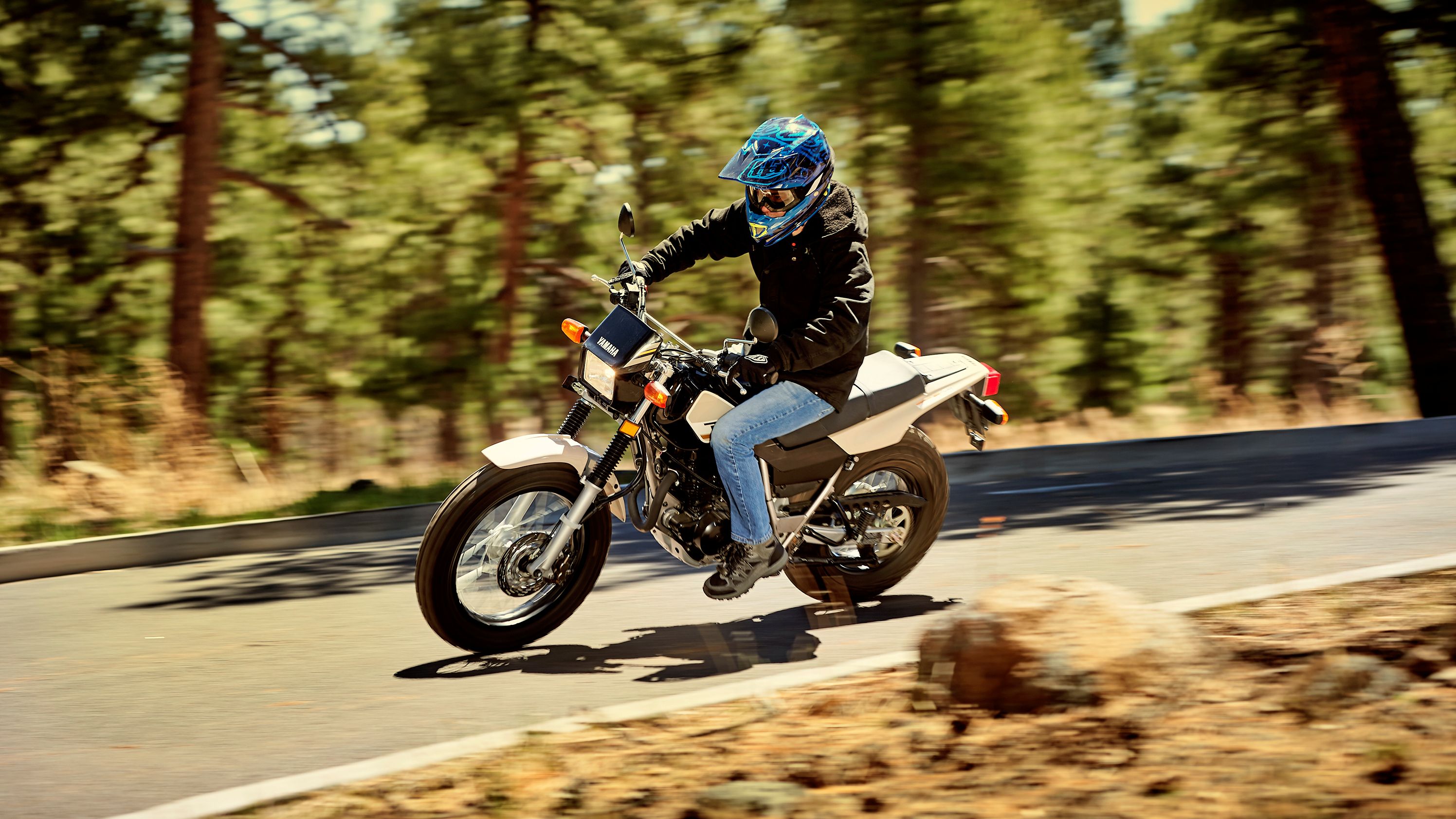 2016 - 2022 Yamaha TW200 - Performance, Price, and Photos