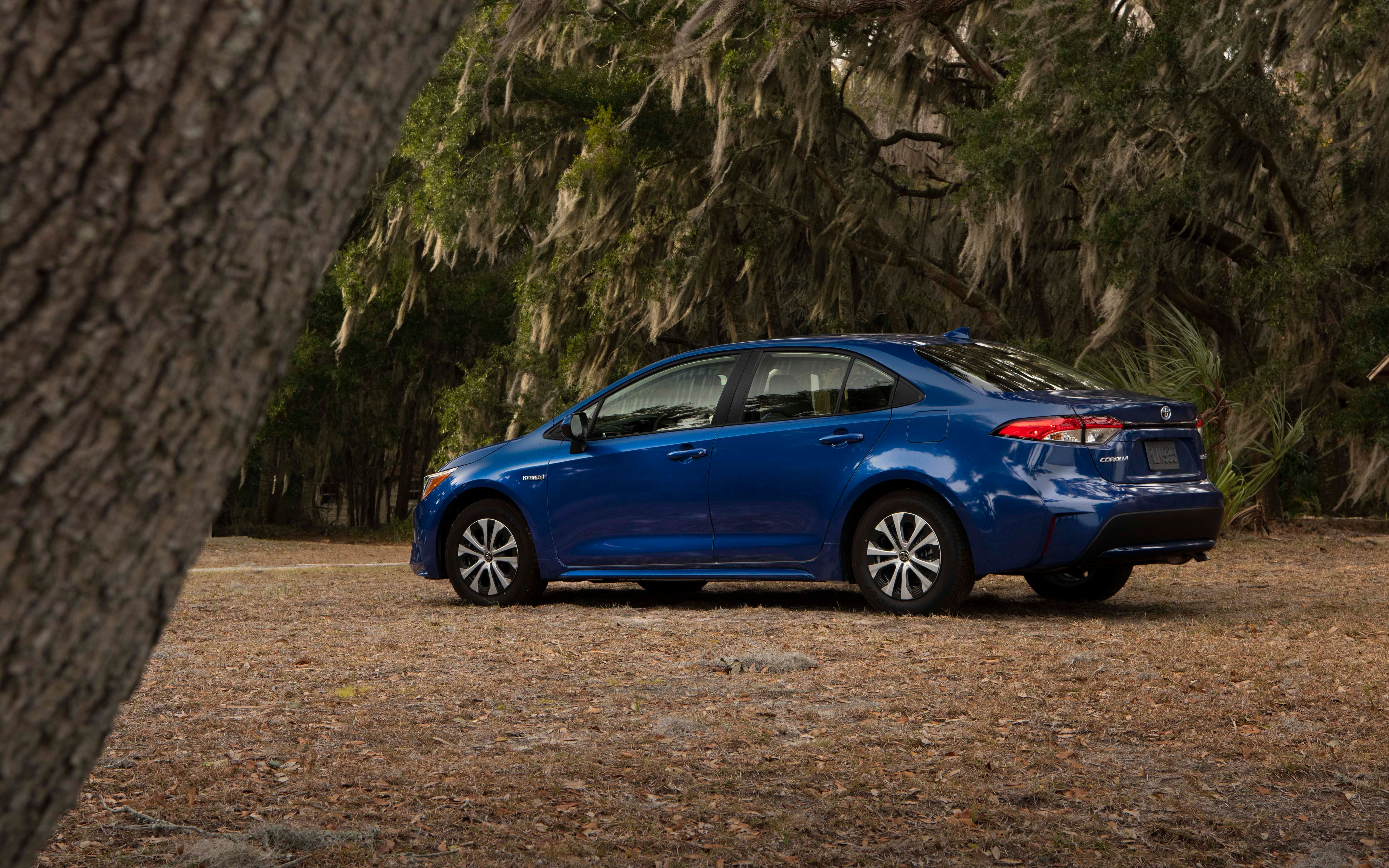 The 2020 Toyota Corolla Hybrid Sedan Is The Smartest Pick In The Lineup