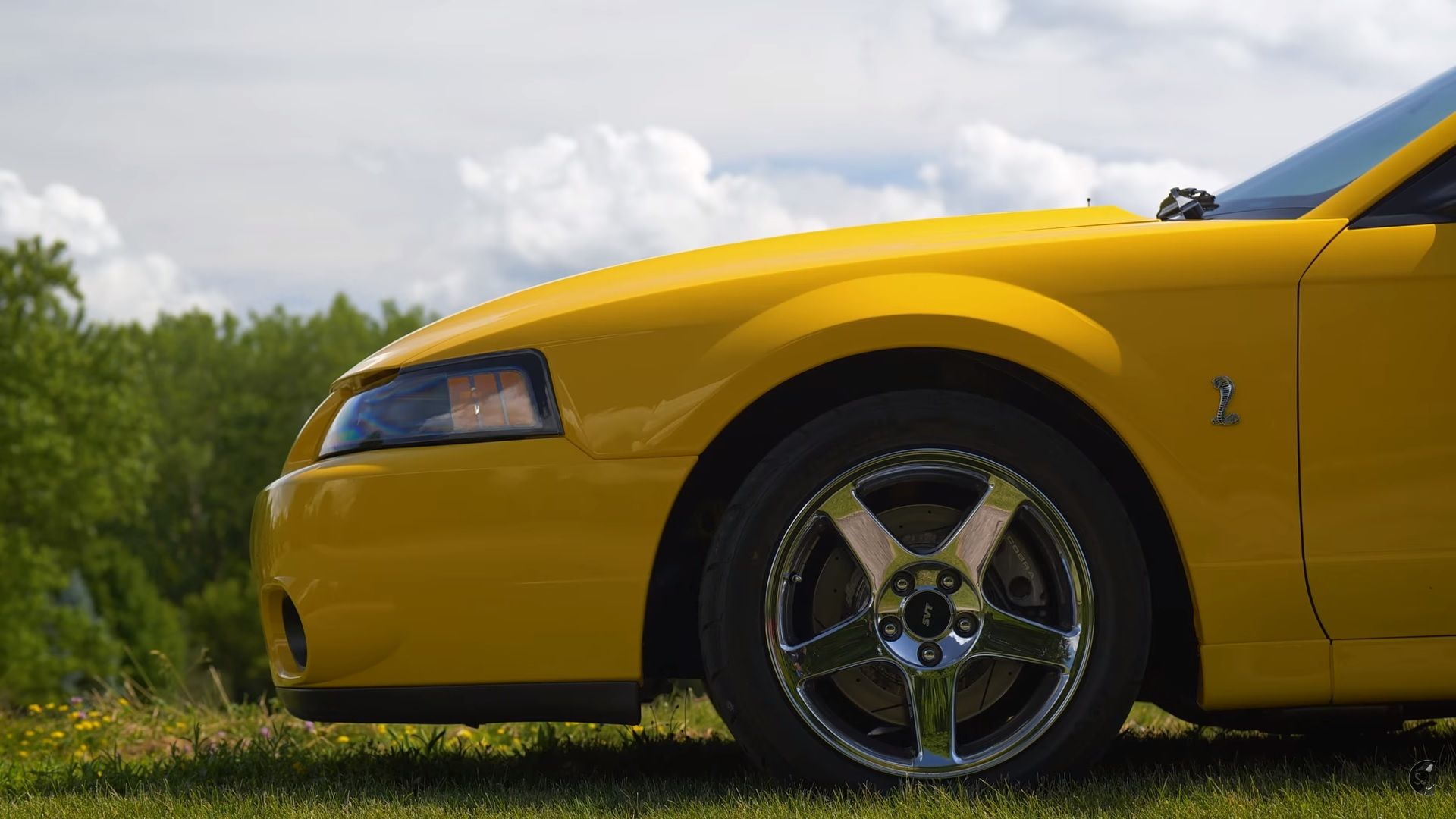This 2003-2004 SVT Cobra Terminator Is the Car You Probably Forgot About