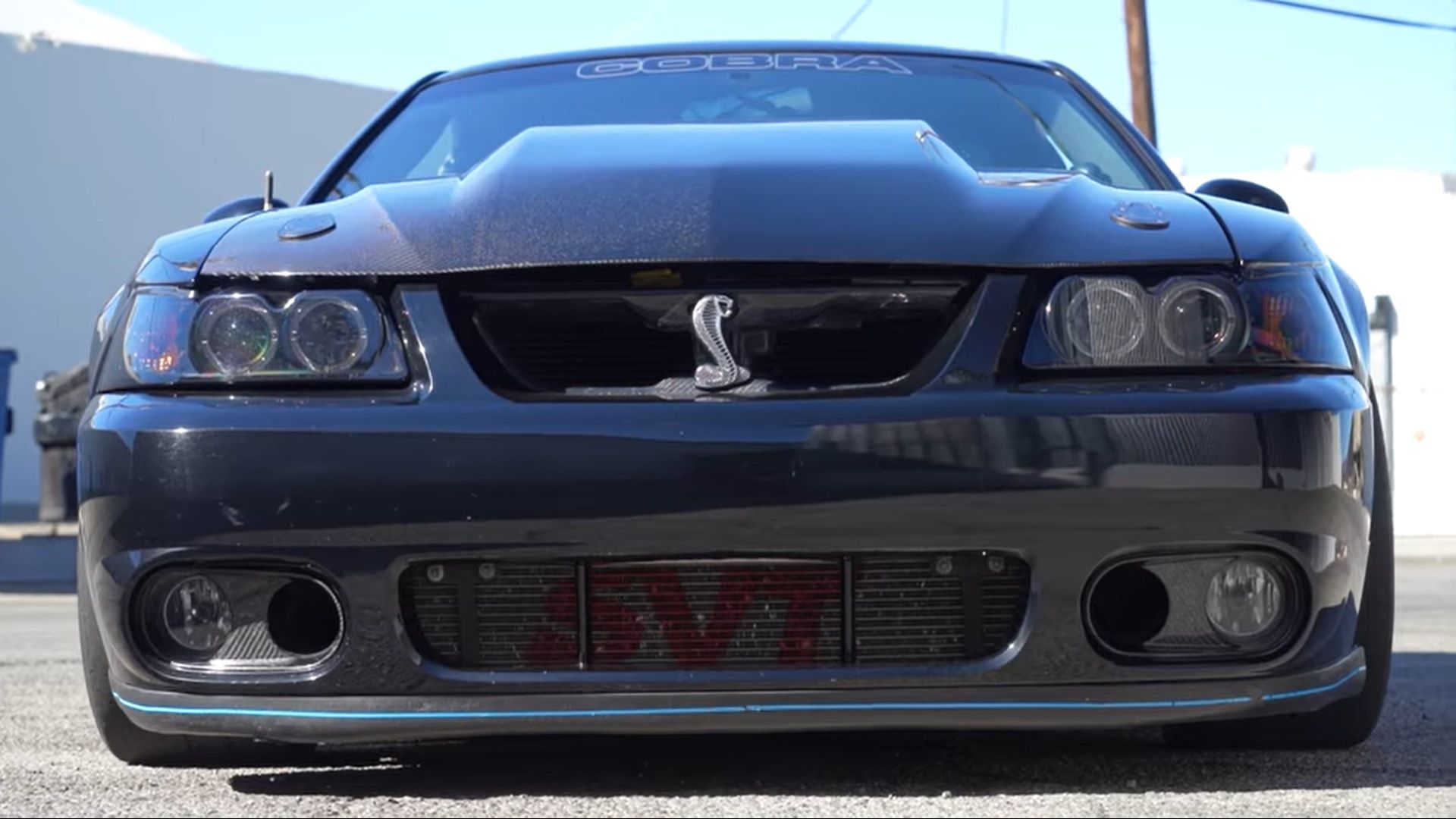 This Supercharged Terminator Ford Mustang Is Not For the Faint Hearted