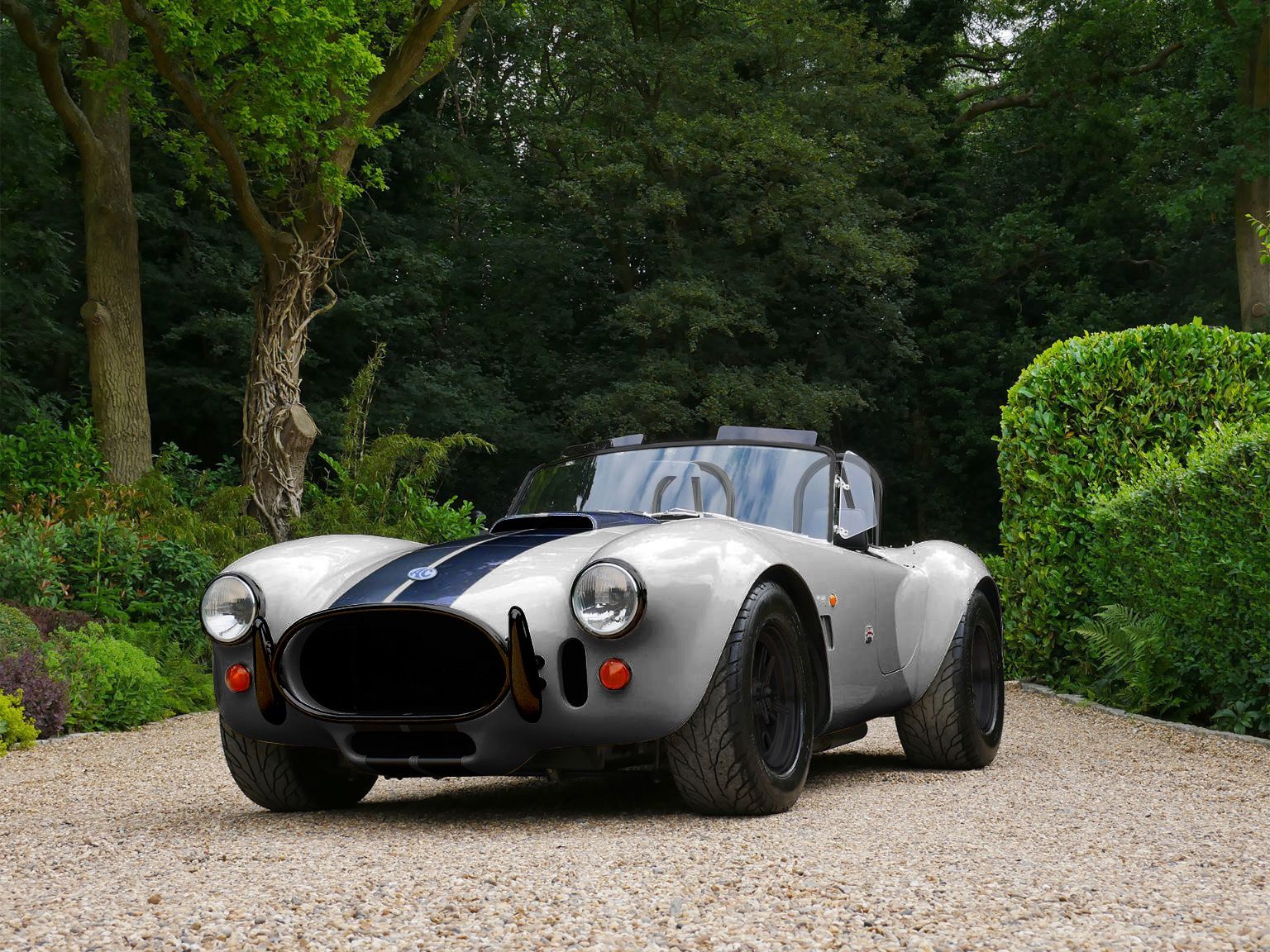 2022 AC Cobra Series 4-electric