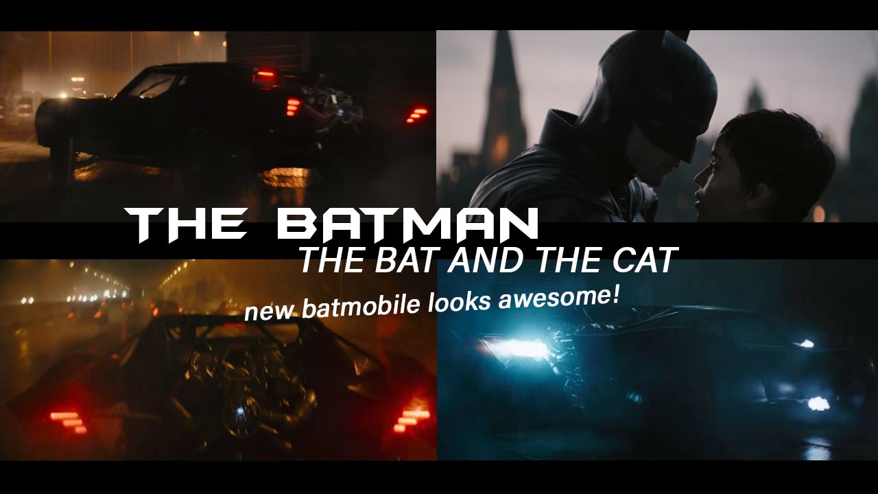 Batman Cat
