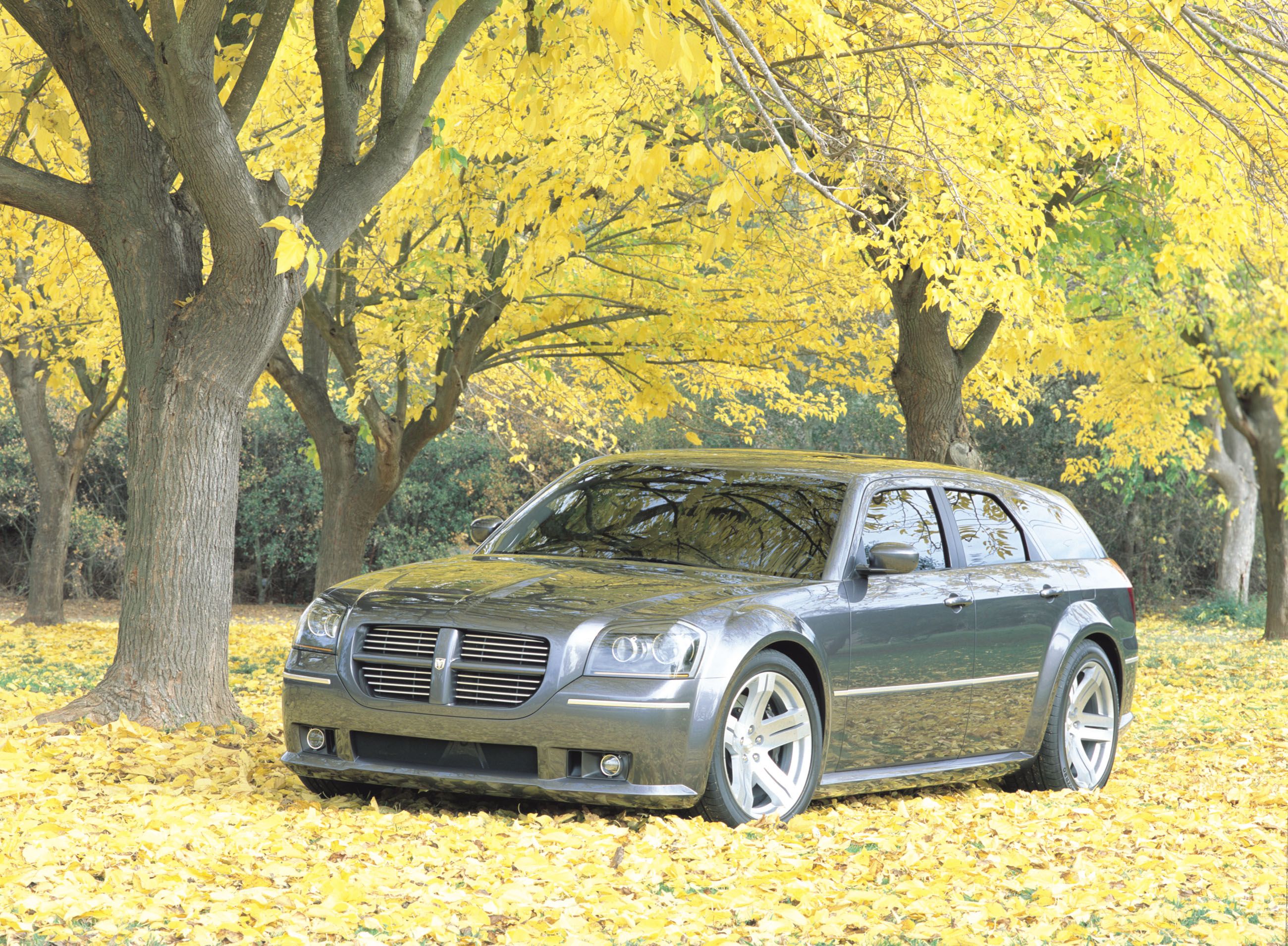 5 of the Coolest and Collectable Fast Wagons on the Planet