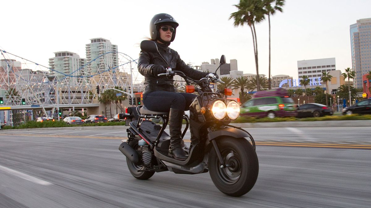 2015 - 2023 Honda Ruckus