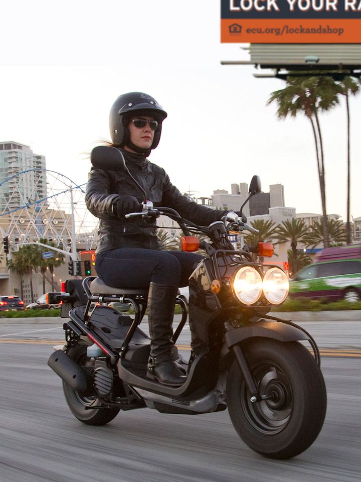 2015 - 2023 Honda Ruckus