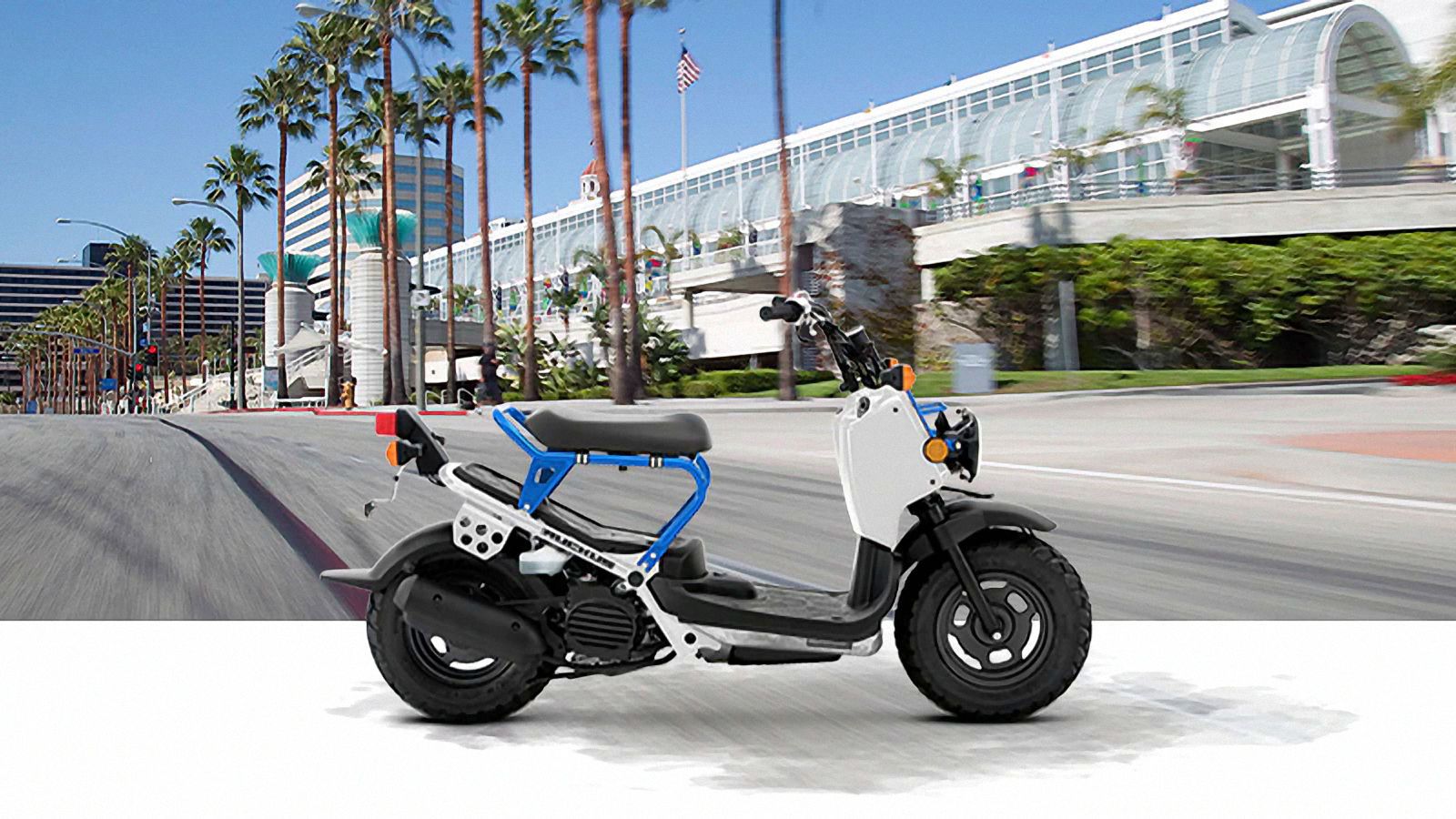 2015 - 2023 Honda Ruckus